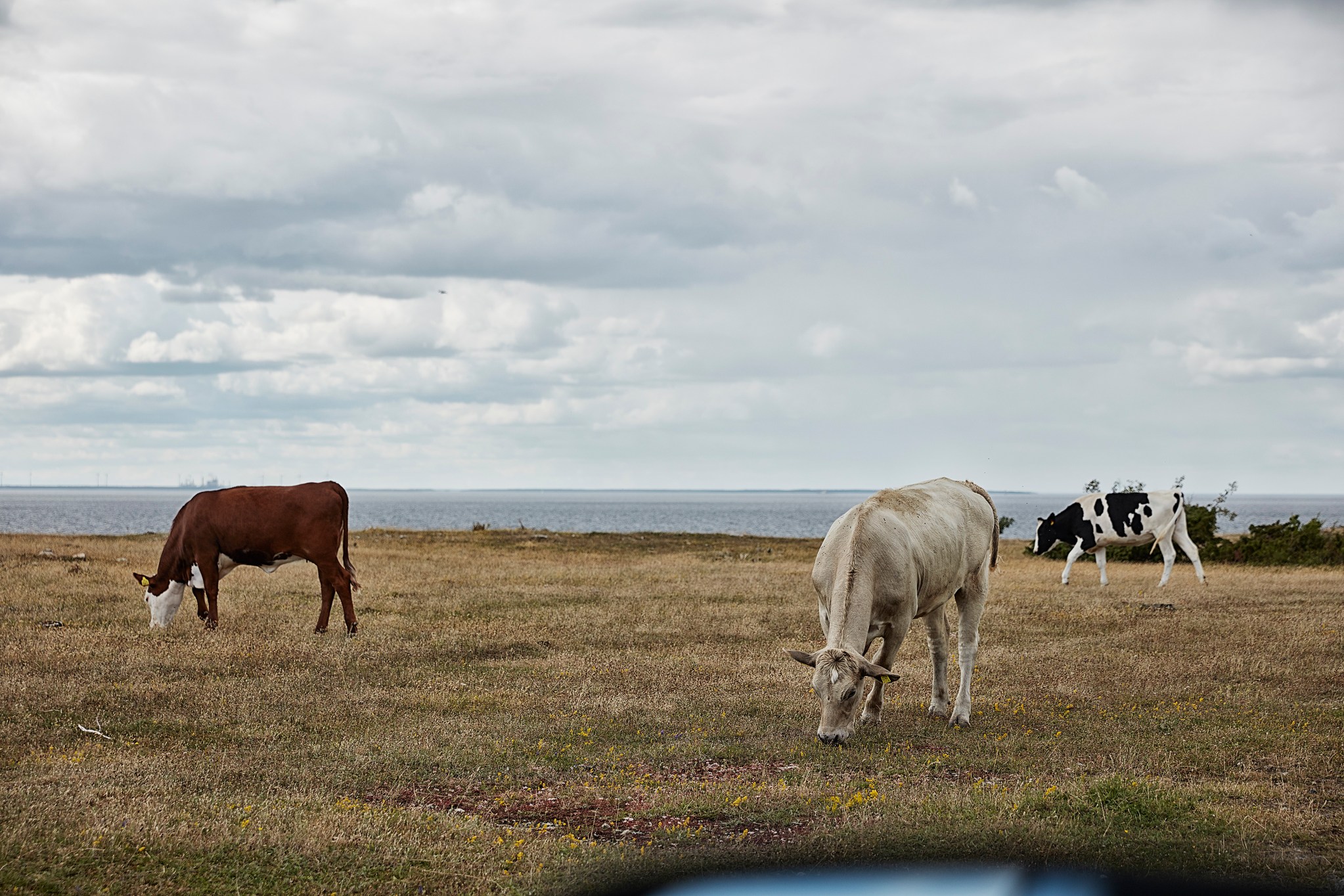 Öland Sweden – Our travel journal